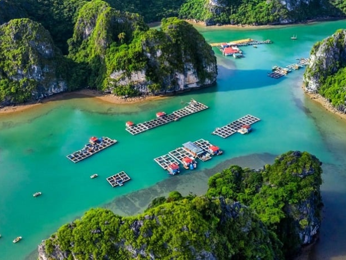 29 Best Things to Do in Halong Bay: Best Attractions