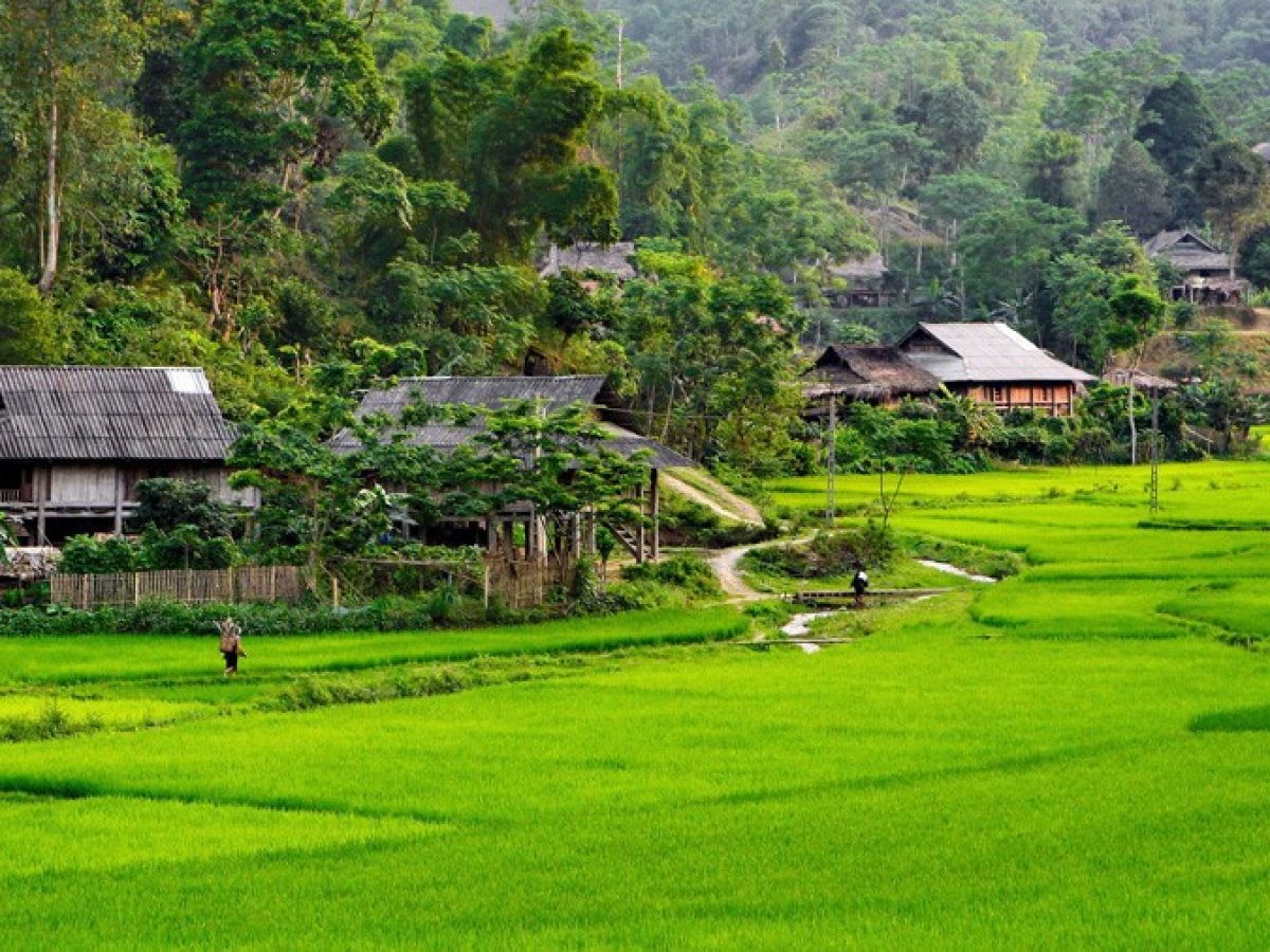 Vietnam Weather in August: Guide for Planning Your Trip