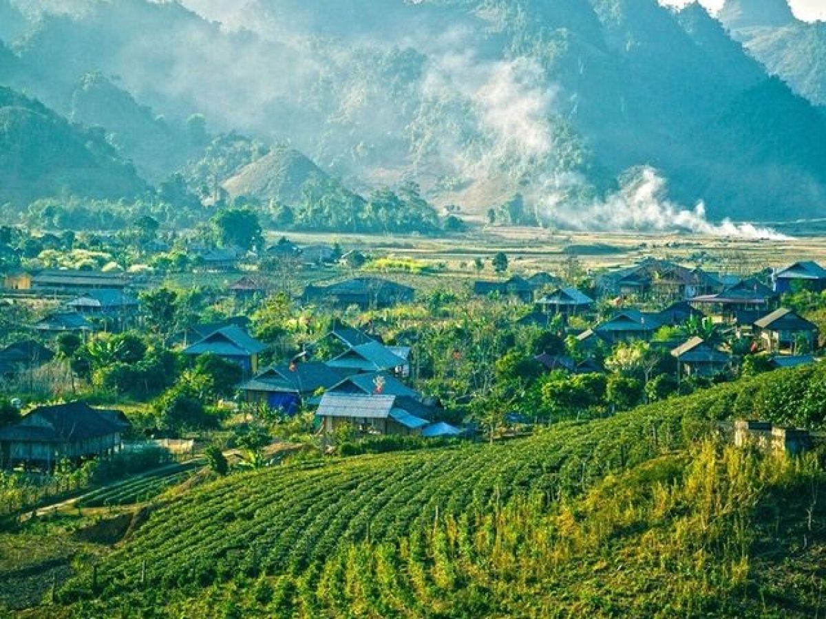 Best Things To Do In Moc Chau