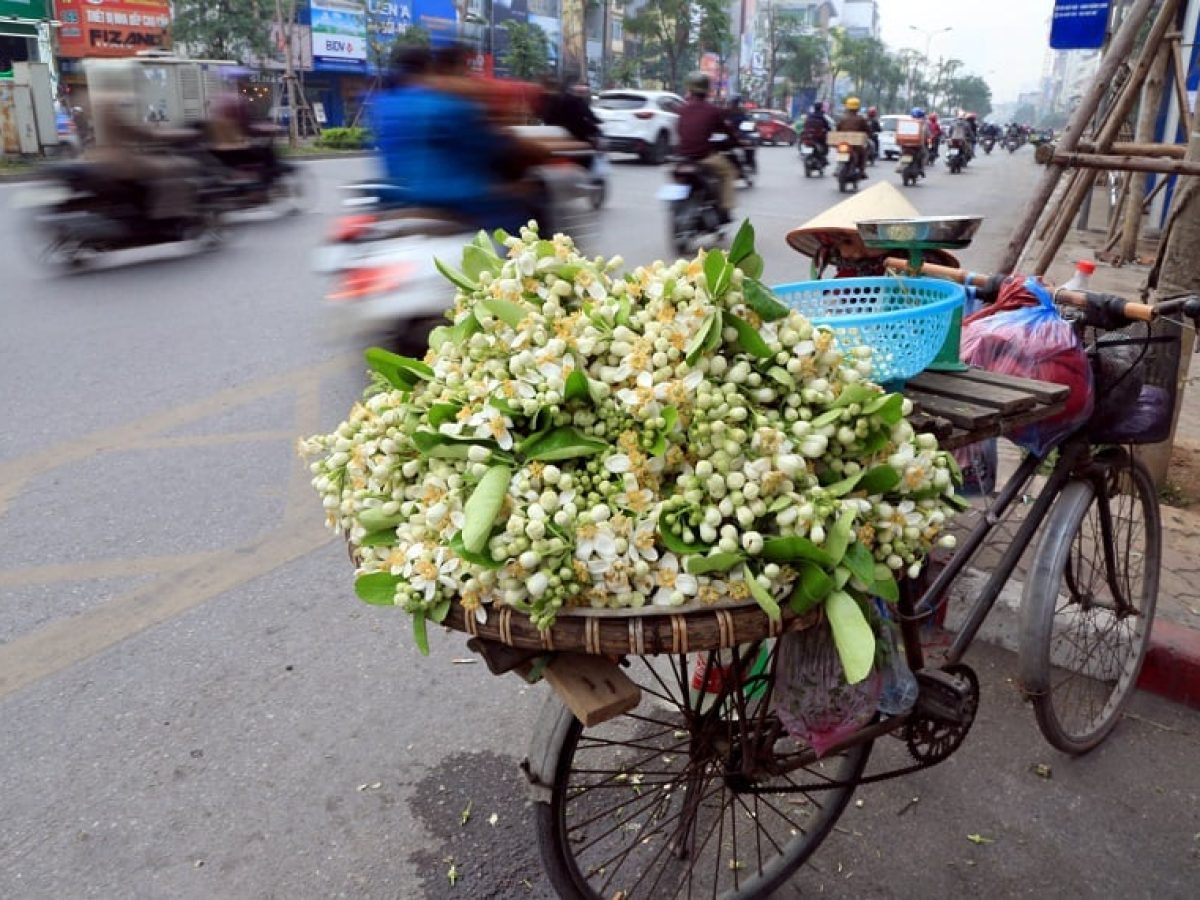 Hanoi's Weather in March: Complete Climate Guide, 2024